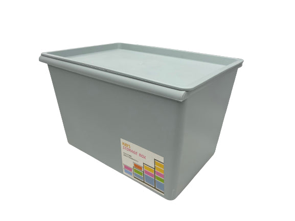 Pre Order-Storage Box L w/Lid,39(L)x28(W)x25.5(H)cm – JAPAN HOME SINGAPORE